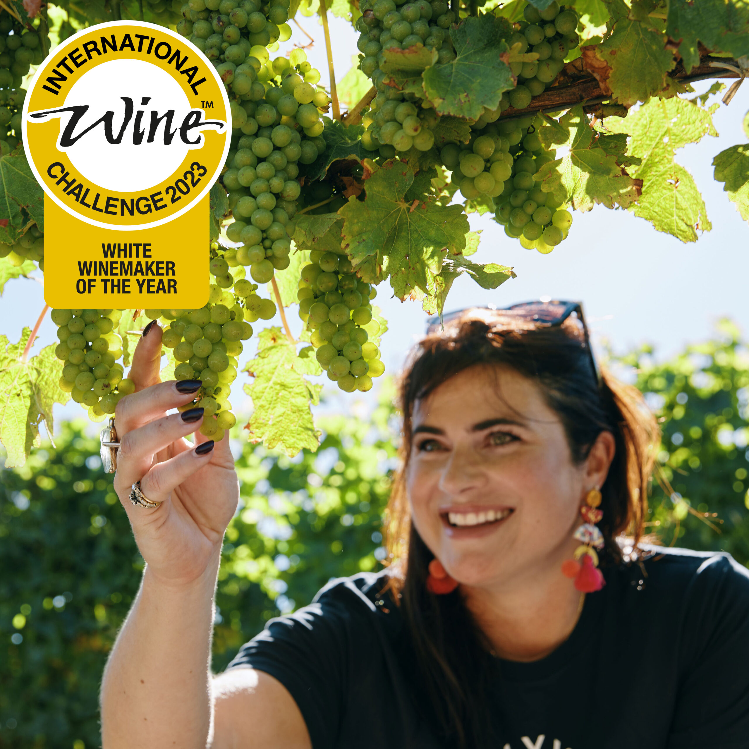 Our Trophy-Winning Winemaker! | Yealands