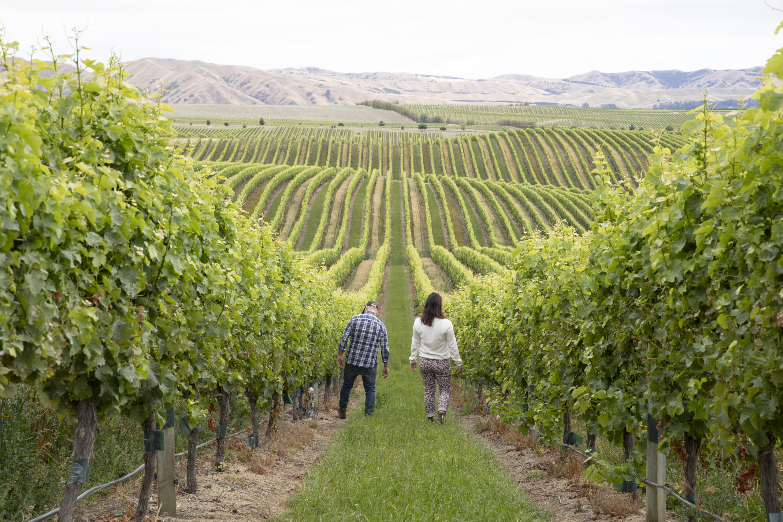 Index of /app/uploads/2025/01/